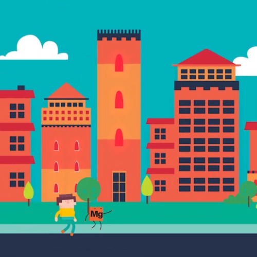 NEIGHBOR | Motion Design & Animation